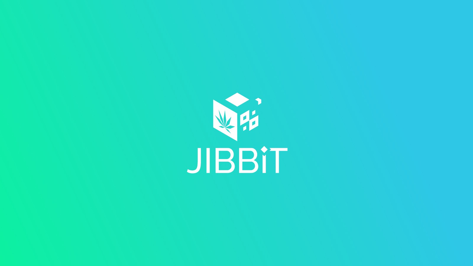 Ziski Digital Design | Jibbit